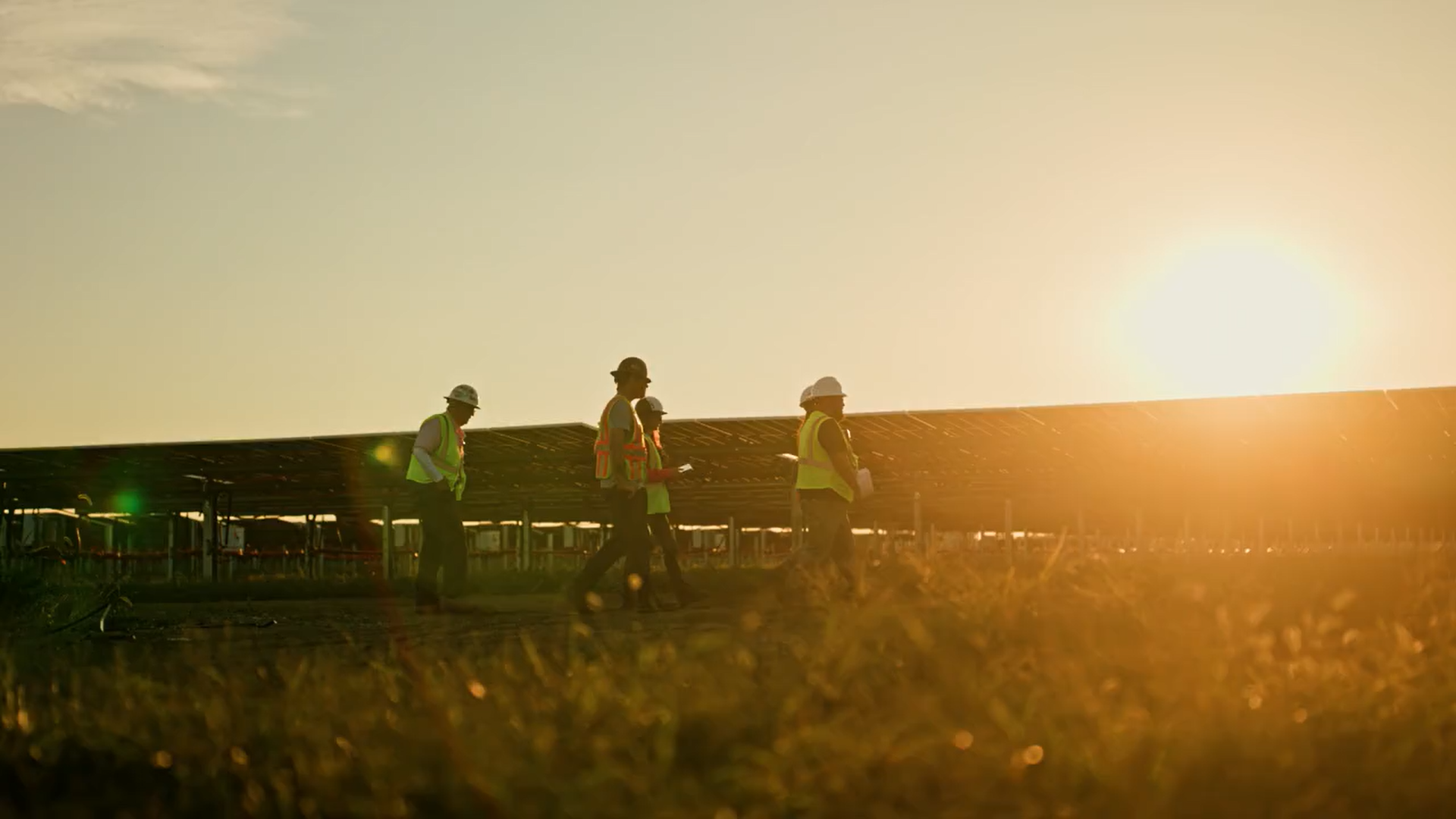 Sol Purpose Fall 2025